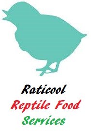 RATICOOL QUAILS 1 WEEK OLD 5PACK